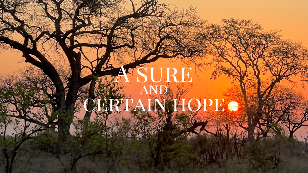 June 5, 2024 - Jim Cantelon